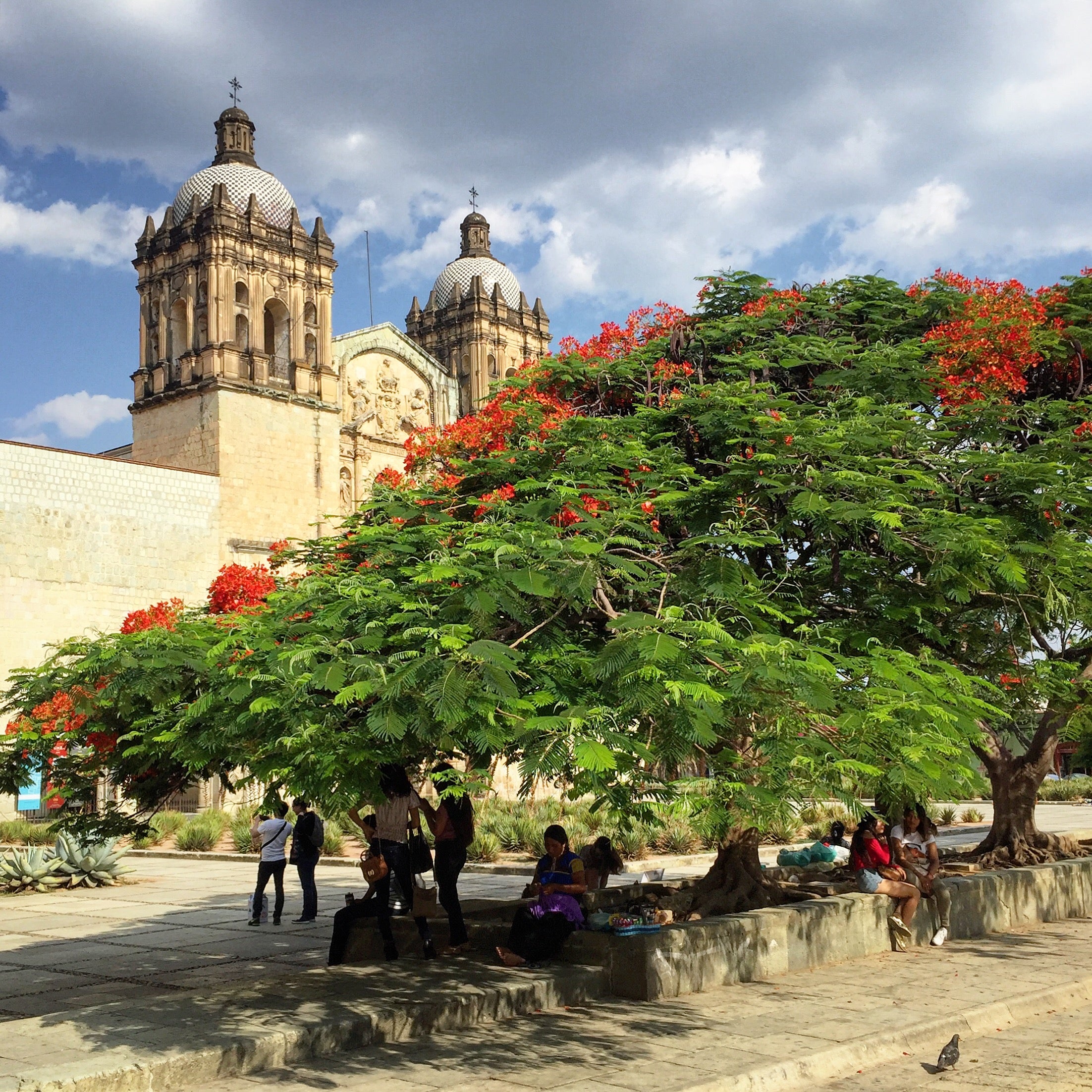 Woven Lives: A Textile Immersion in Oaxaca – Traveling Traders Bazaar